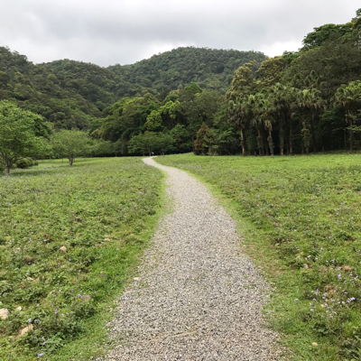 Jonathan Chiche 齊正航 (@jonathanchiche@mastodon.online) - Mastodon