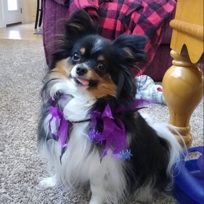 Autumn Rook (@AutumnRook@mastodon.online) - Mastodon