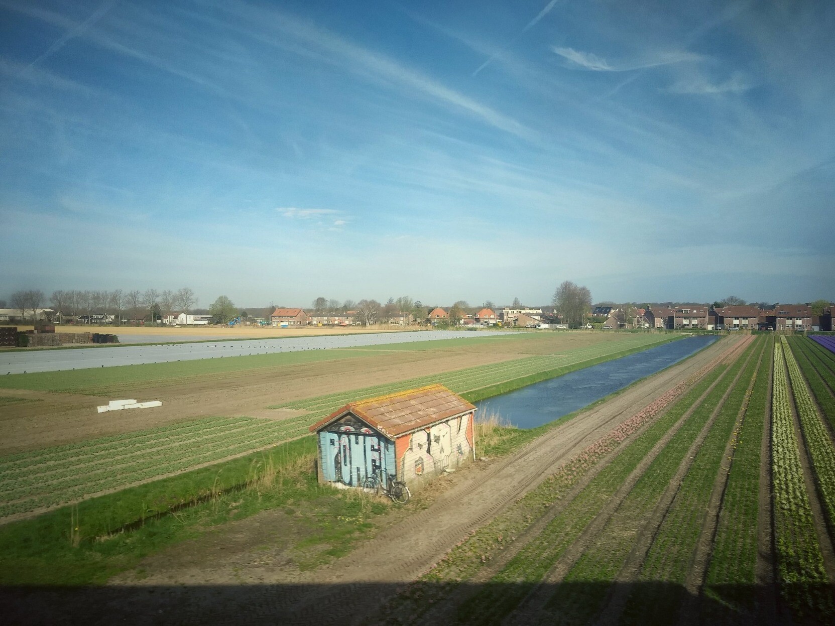 Eiko Fried ʕ•ᴥ•ʔ (@eikofried@mastodon.online) - Mastodon