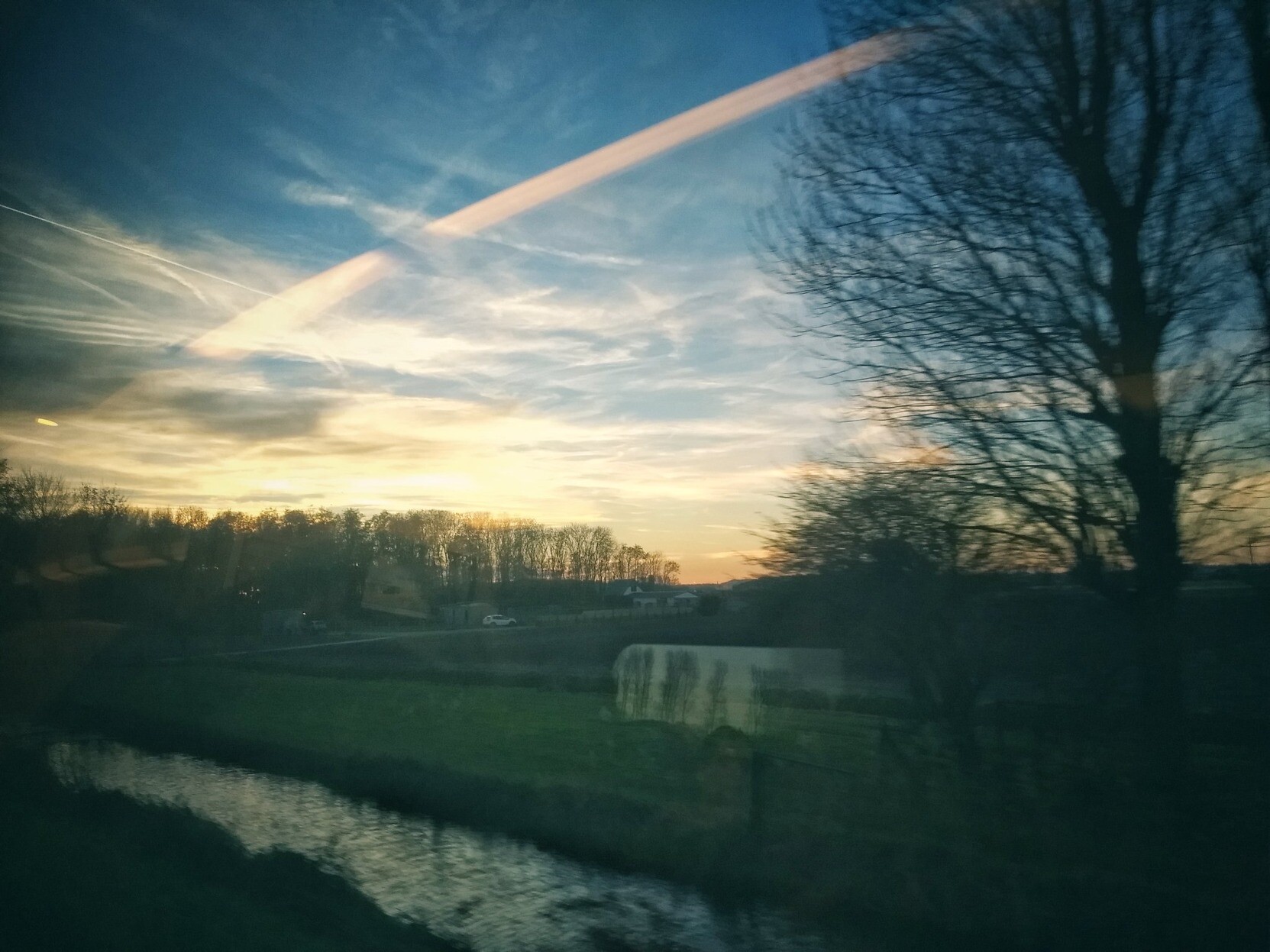 Eiko Fried ʕ•ᴥ•ʔ (@eikofried@mastodon.online) - Mastodon