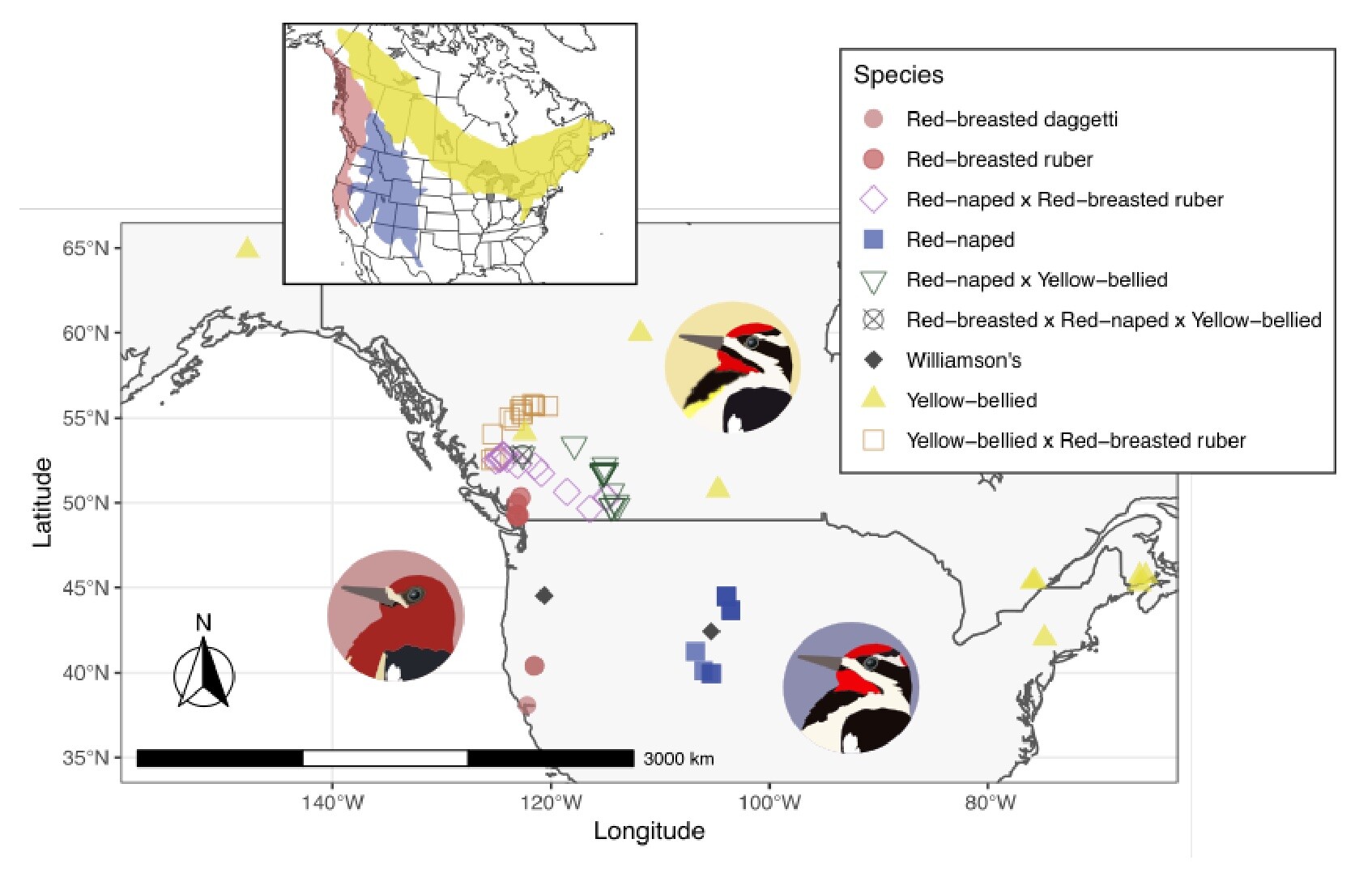 Jack Kamm (@snackematician@mastodon.social) - Mastodon