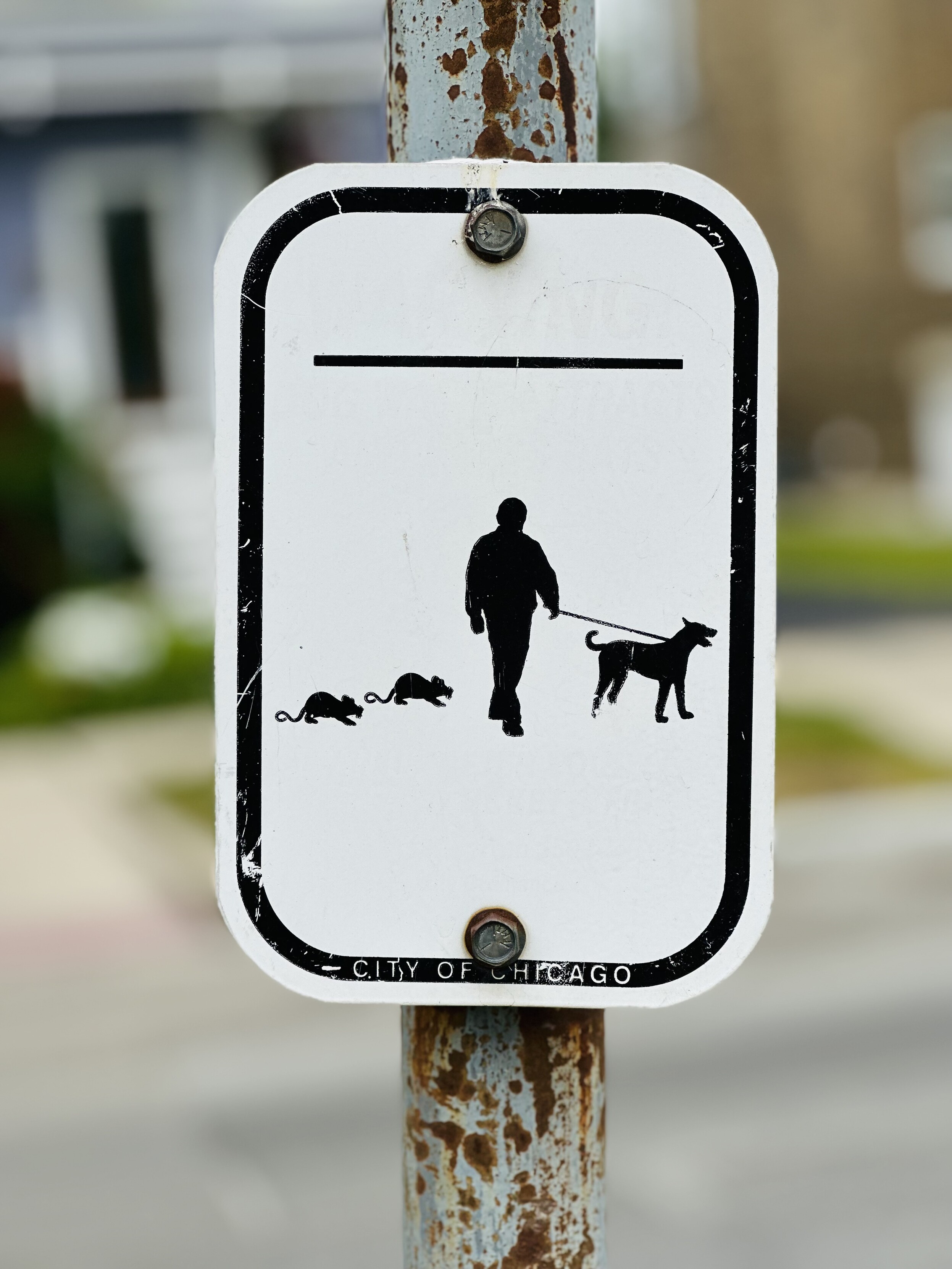 Nick Santos (@nicks@hachyderm.io) - Hachyderm.io