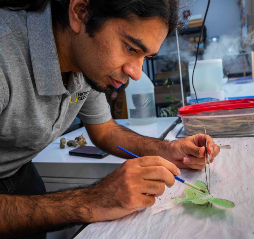 Felix Neff (@FelixNeff@ecoevo.social) - ecoevo.social