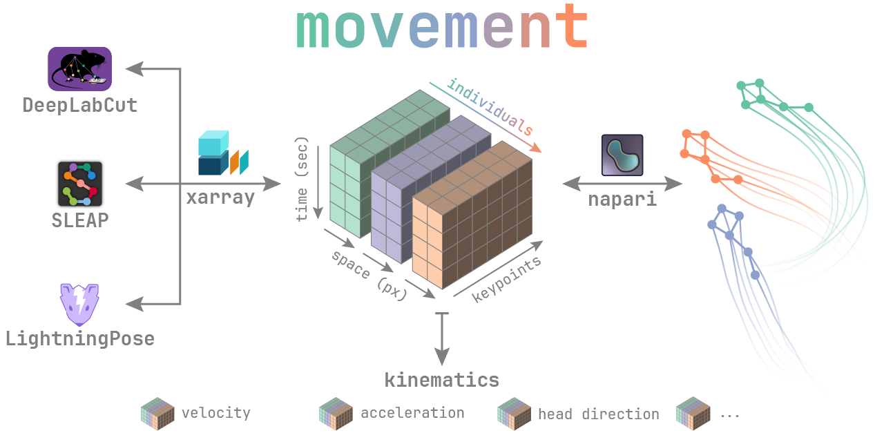 Eric Denovellis (@edeno@neuromatch.social) - neurospace.live
