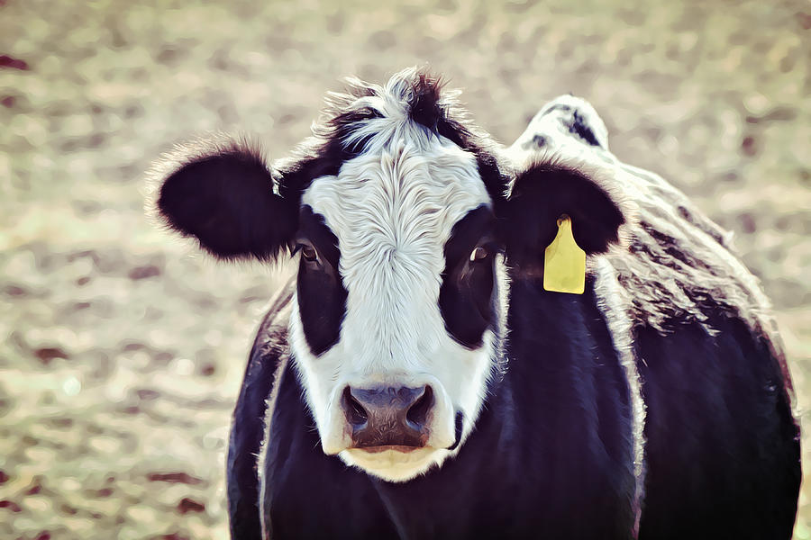 P.D. Magnus (@News4wombats@mastodon.social) - Mastodon